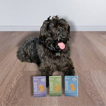 Most Recommended Baby Products | ZoLi